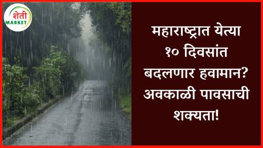 avakali-paus-maharashtra: महाराष्ट्रात येत्या १० दिवसांत बदलणार हवामान? अवकाळी पावसाची शक्यता!